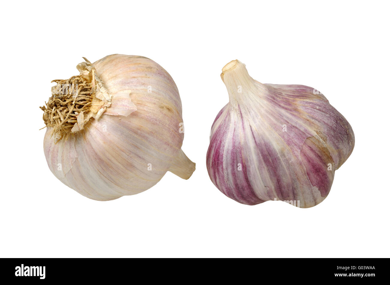 two heads of garlic isolated on white background Stock Photo - Alamy