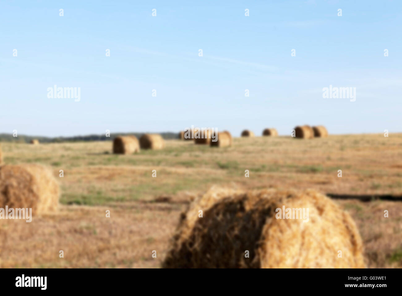 stack of wheat straw Stock Photo - Alamy