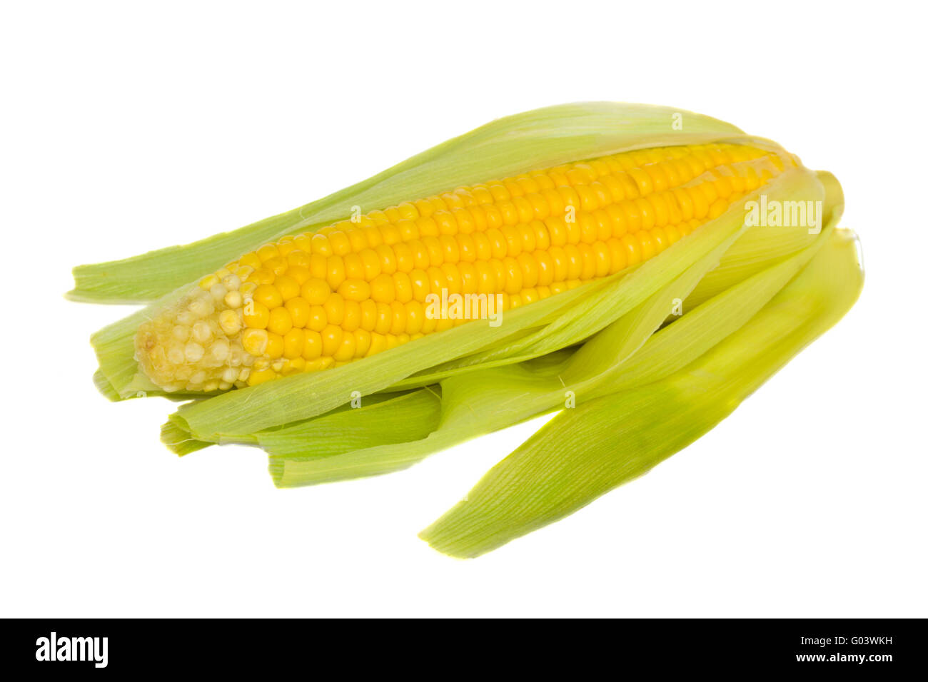 Fresh corn ears leaves Cut Out Stock Images & Pictures - Alamy