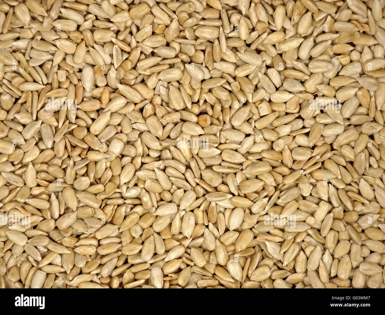 Sunflower Seeds Texture Stock Photo - Alamy