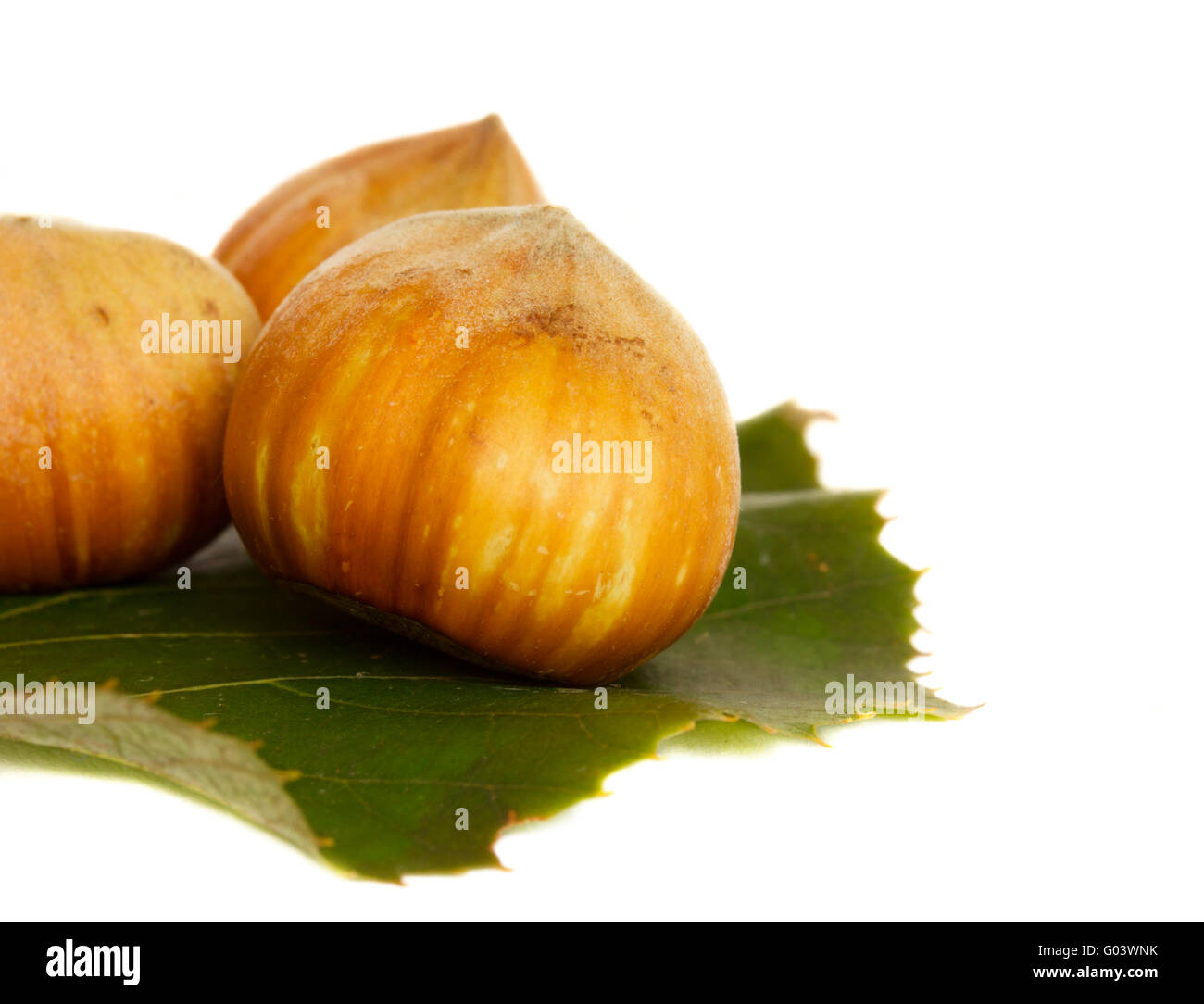 Inside Of Nut High Resolution Stock Photography and Images - Alamy