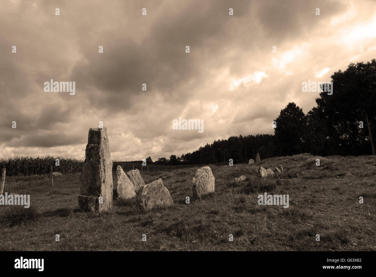 stone setting - Vätteryd grave field - Sweden Stock Photo - Alamy