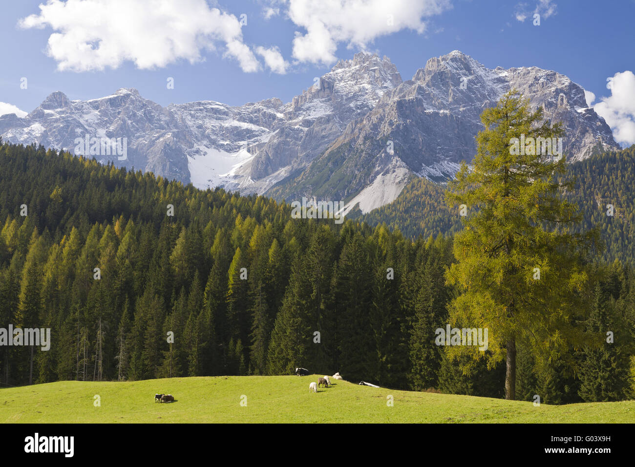 Green pasture rock rocks hi-res stock photography and images - Alamy