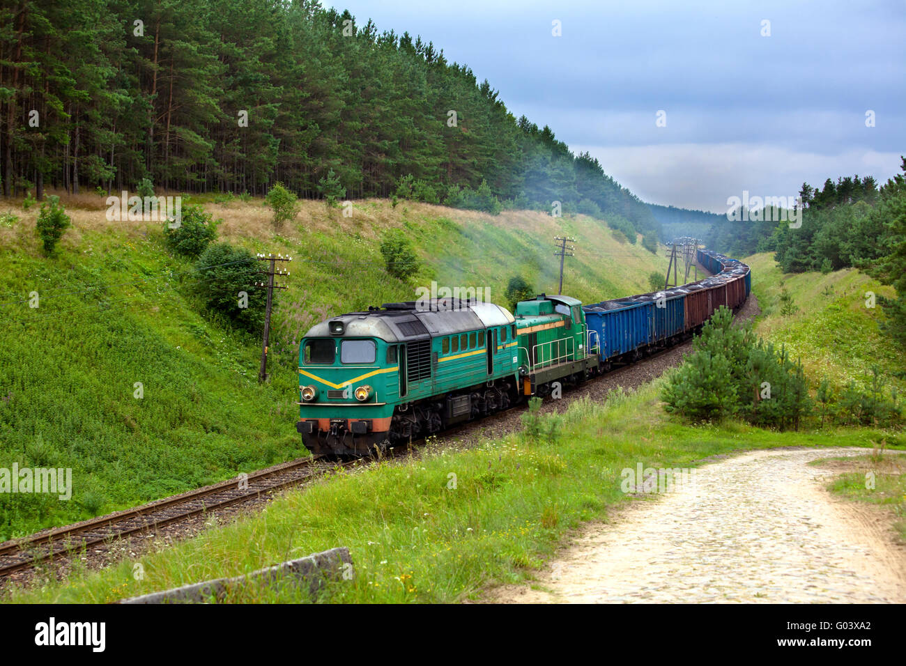 Poland forest train hi-res stock photography and images - Alamy