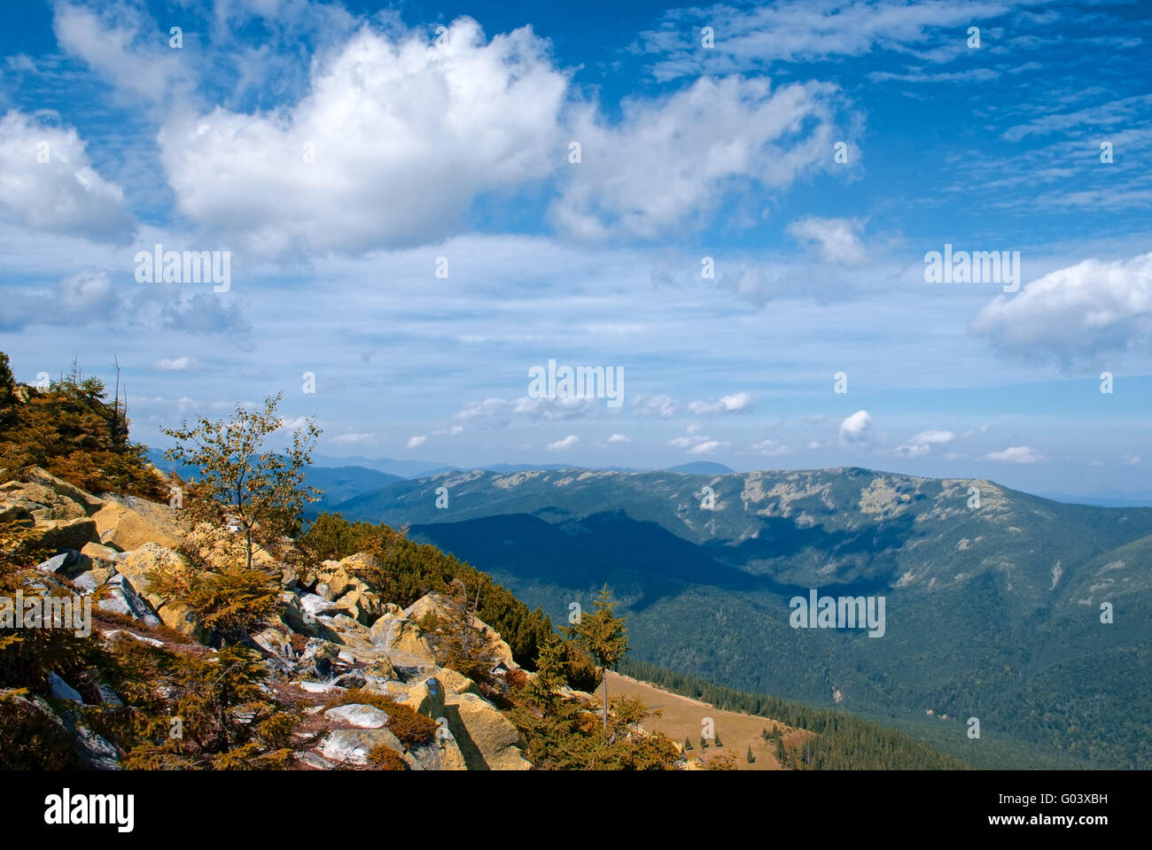 mountain landscape with evergreen tree. nature Stock Photo - Alamy