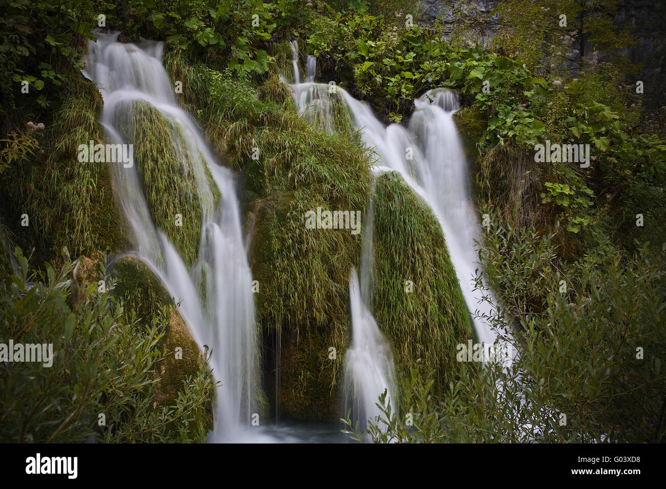 Reed lakes hi-res stock photography and images - Alamy