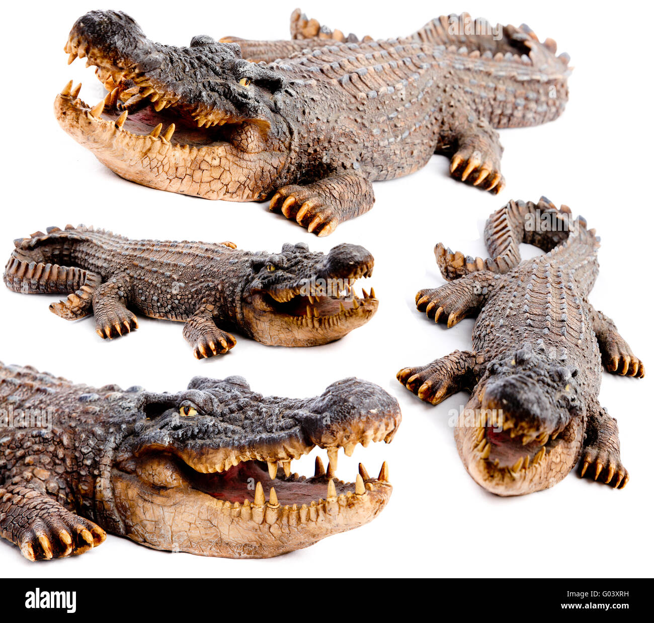 Crocodile head with the mouth large open - isolate Stock Photo - Alamy