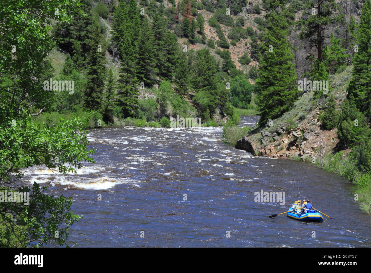 Whitewater rafting colorado river hi-res stock photography and images ...
