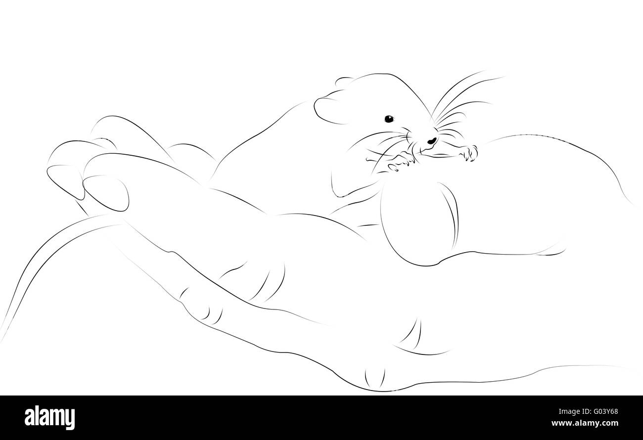 Maus cartoon hi-res stock photography and images - Alamy