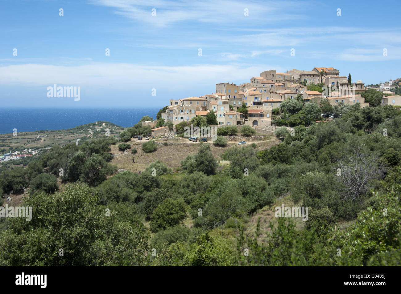 Pigna hi-res stock photography and images - Alamy