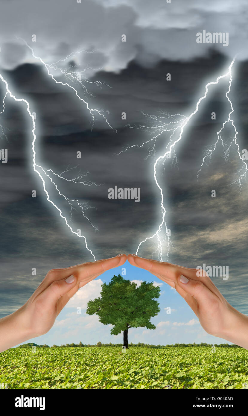 Two hands preserve a green tree against a thunder-storm Stock Photo - Alamy