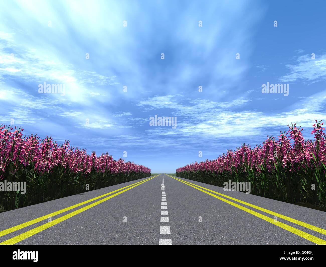Highway with a marking with blossoming flowers on a roadside. Brightly ...