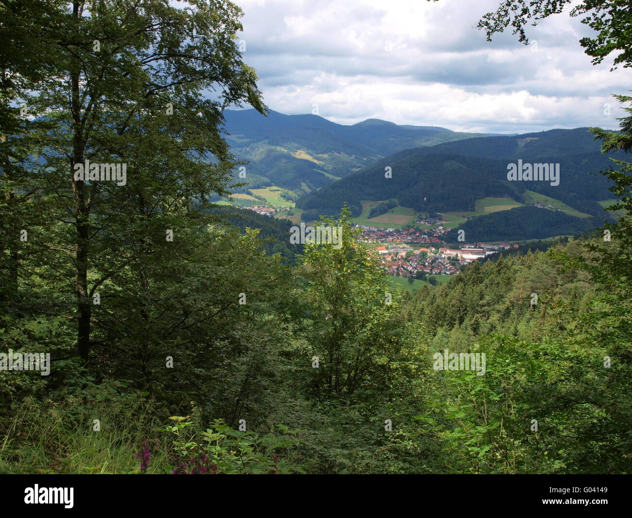 Kinzig valley hi-res stock photography and images - Alamy