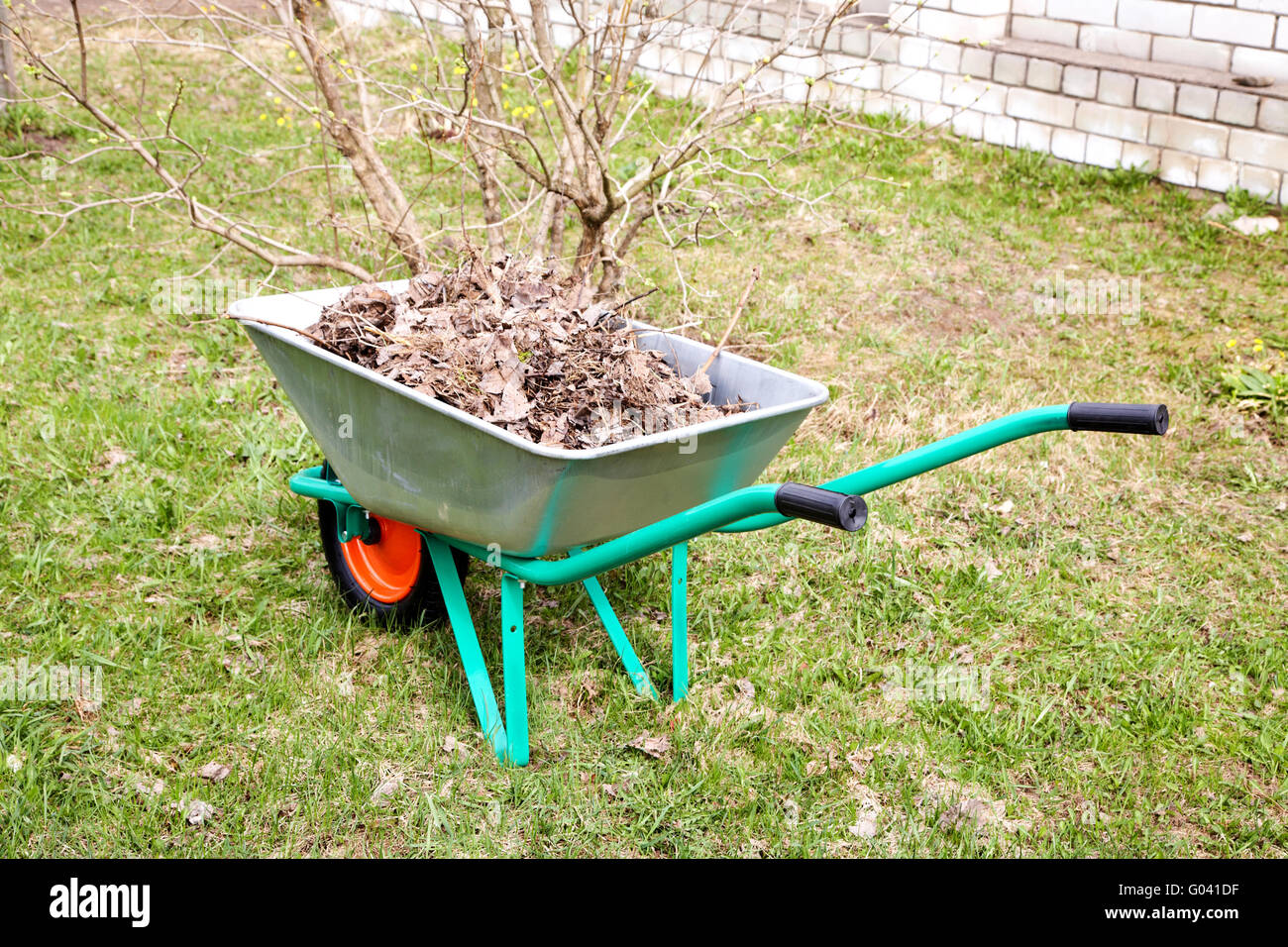 hand cart filled with dry leaves in the spring Stock Photo - Alamy