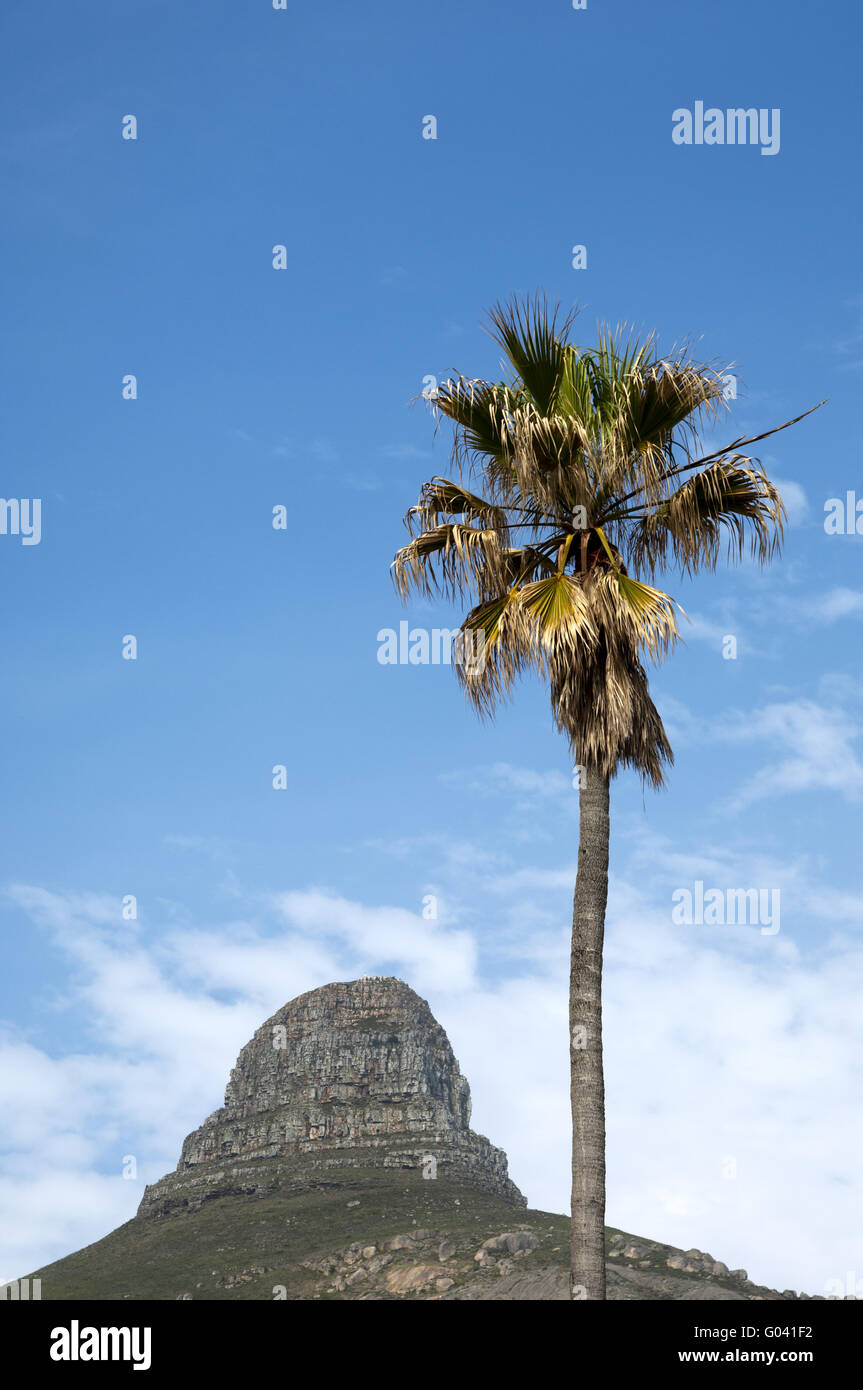 African tourist attractions hi-res stock photography and images - Alamy