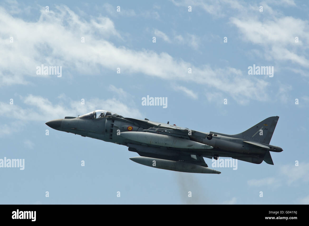 Harrier camouflage hi-res stock photography and images - Alamy