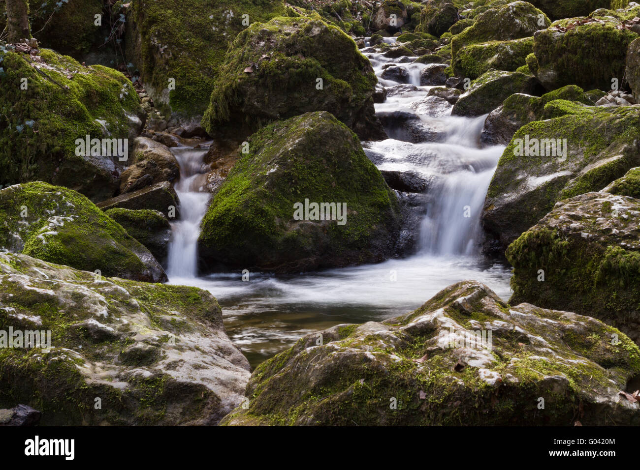 Streambed stones hi-res stock photography and images - Alamy
