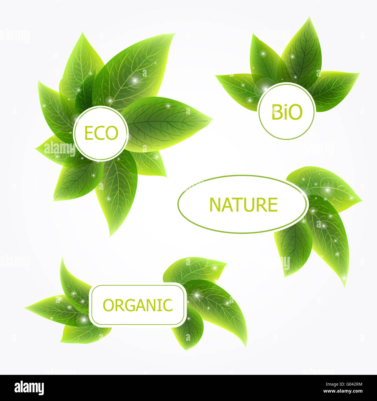 Abstract vector natural banners with leafs Stock Photo - Alamy