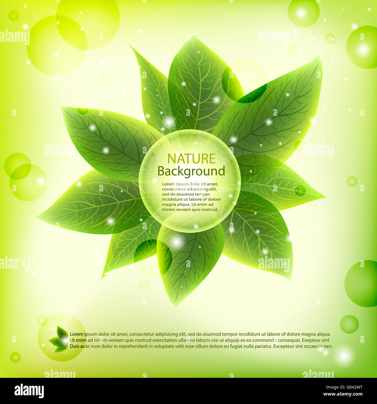 fresh green leaves background Stock Photo - Alamy