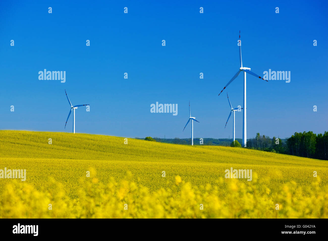 Wind Turbines on spring field. Alternative energy Stock Photo - Alamy