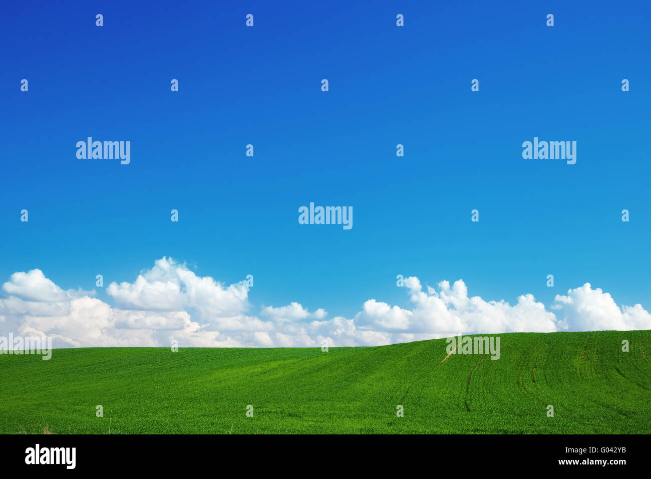 Green summer landscape with blue sky and puffy clouds Stock Photo - Alamy