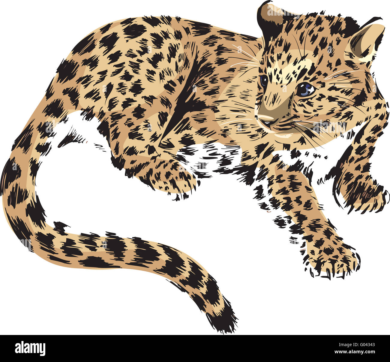 Grey panther hi-res stock photography and images - Alamy