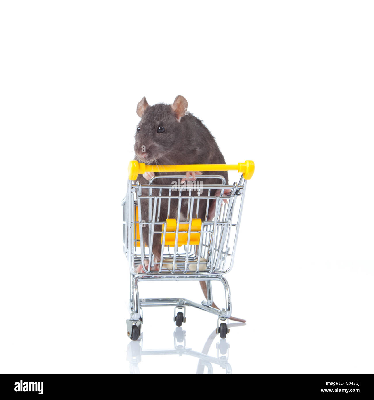 Pushing shopping cart trolley Cut Out Stock Images & Pictures - Alamy