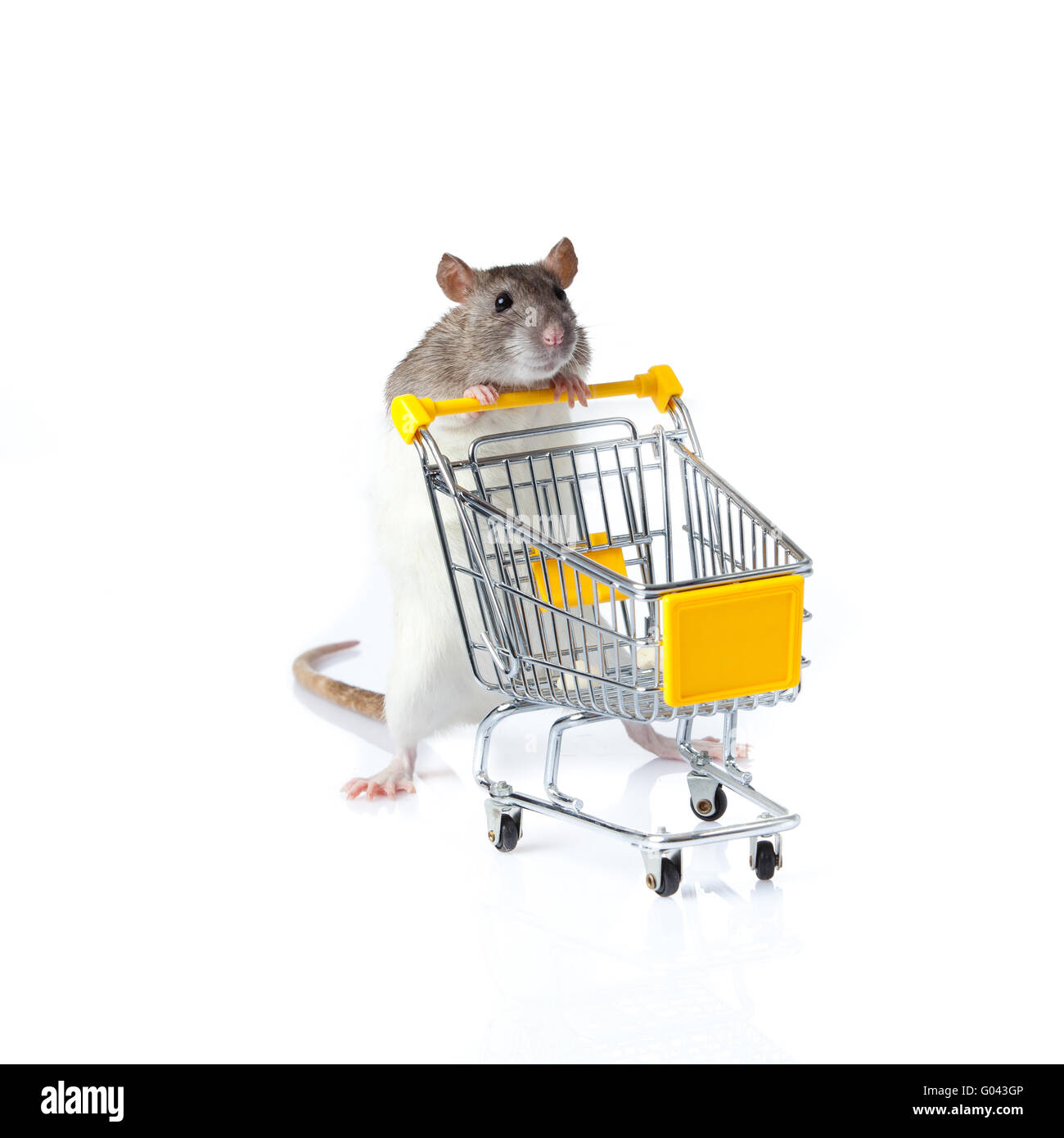 Pushing supermarket shopping trolley Cut Out Stock Images & Pictures ...