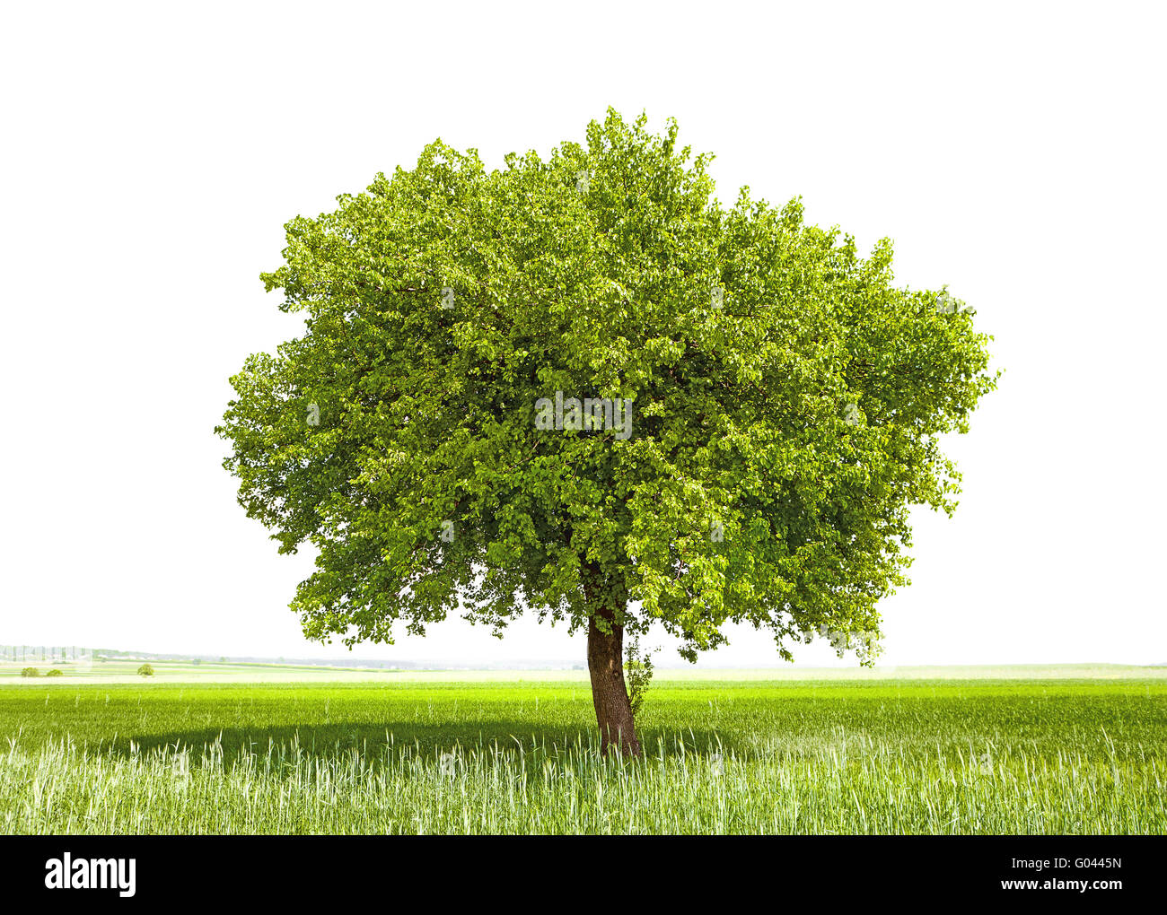 Planet conservation hi-res stock photography and images - Alamy
