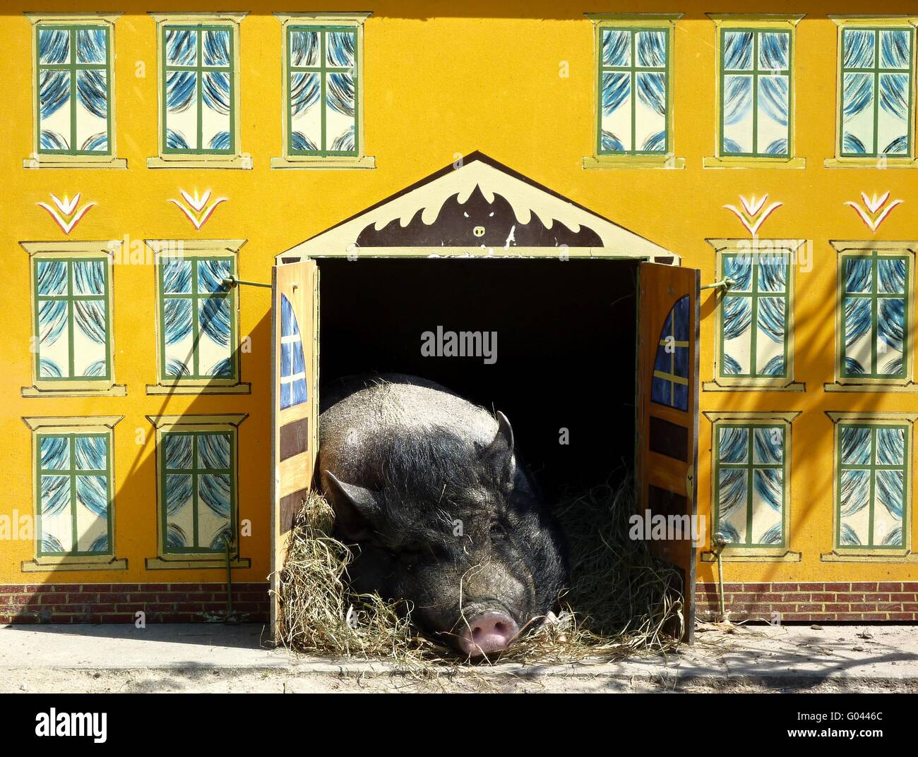 Piglet housing hi-res stock photography and images - Alamy