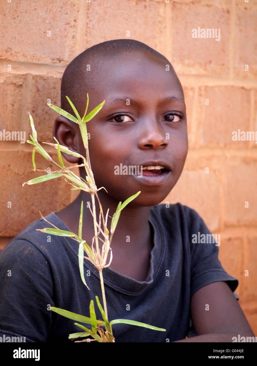 african boy with flower Stock Photo - Alamy