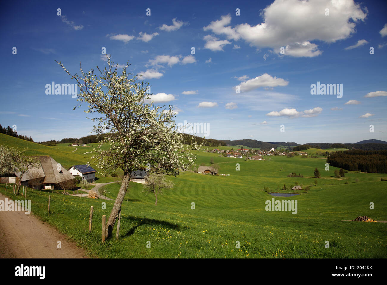 Breitnau schwarzwald hi-res stock photography and images - Alamy