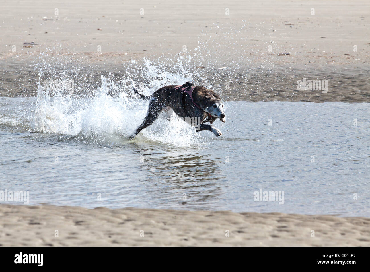Jack splash hi-res stock photography and images - Alamy