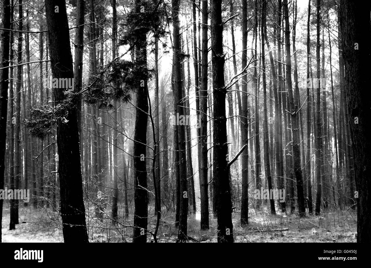 Breaking the light Black and White Stock Photos & Images - Alamy