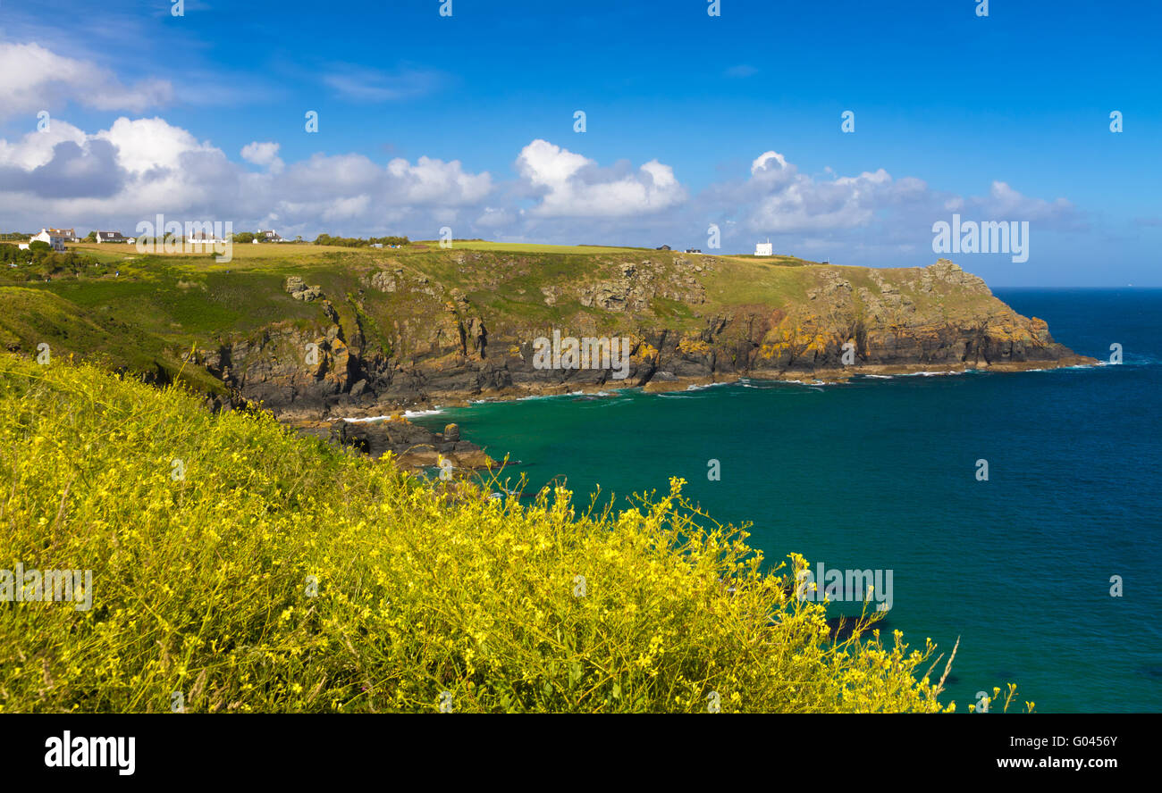 Cove near Lizard Lighthouse, Cornwall, England Stock Photo - Alamy