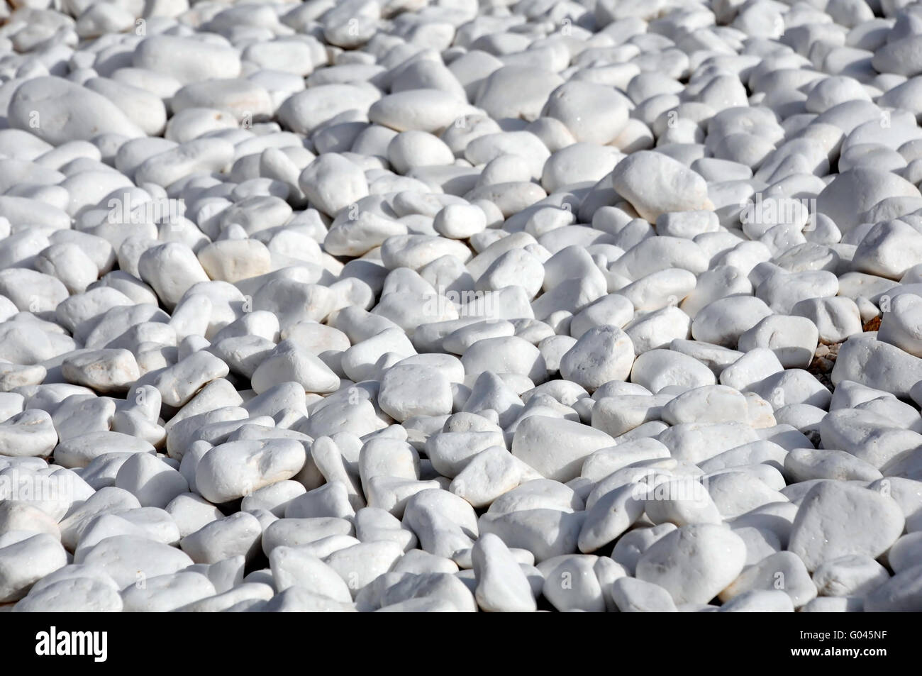 Concept nature pattern hi-res stock photography and images - Alamy