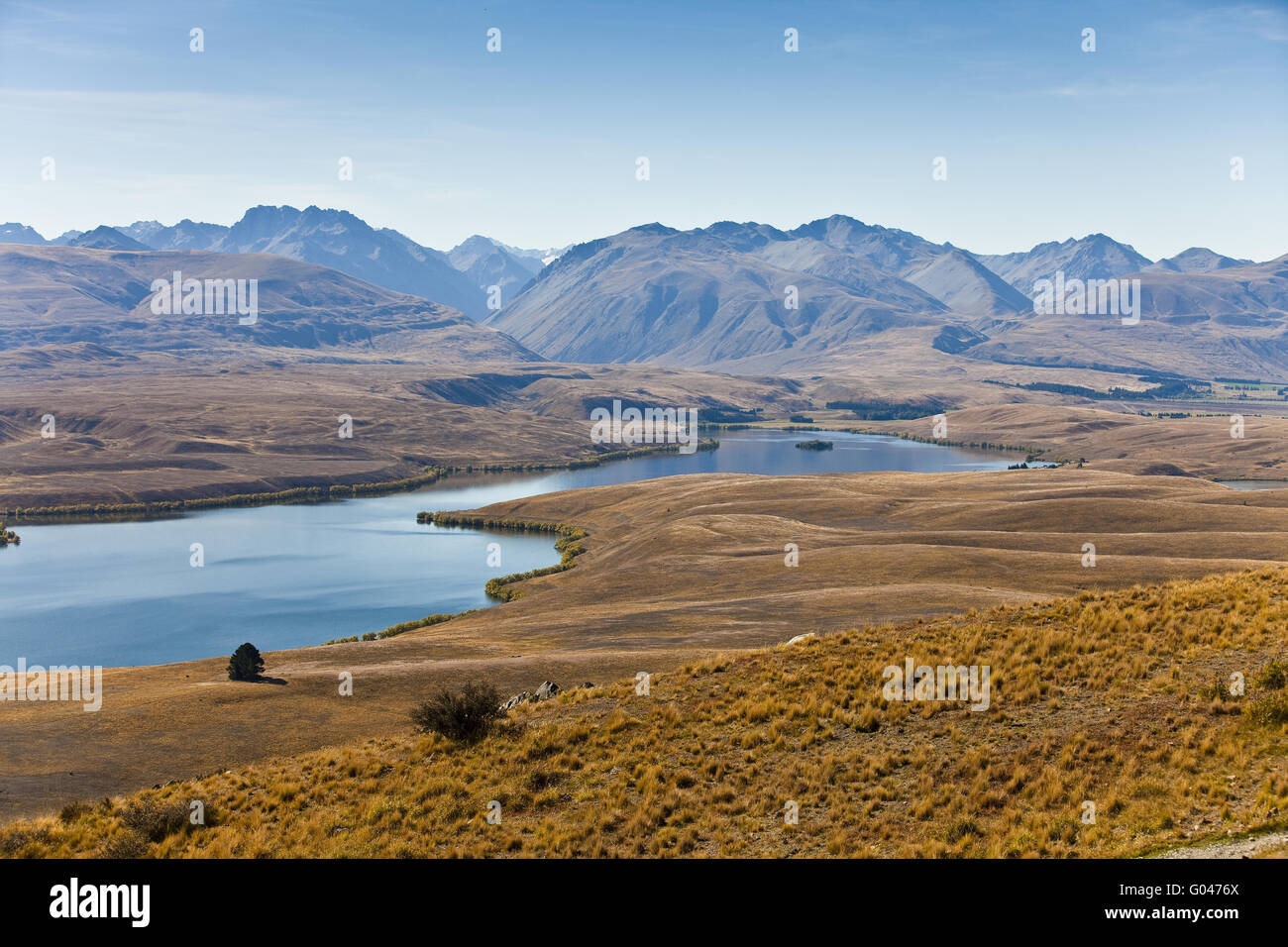 Mackenzie country. Newzealand Stock Photo - Alamy