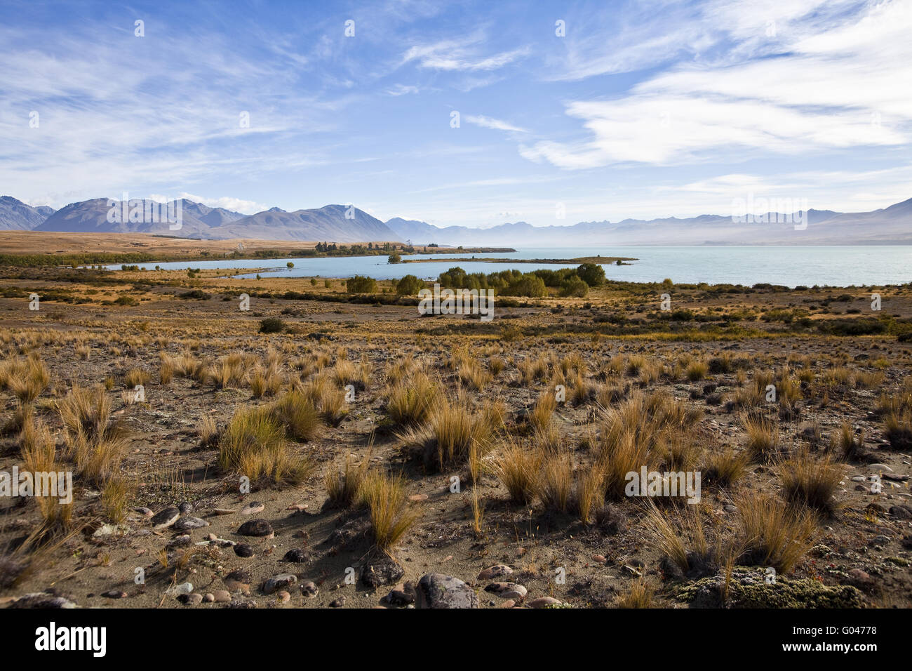 Mackenzie neuseeland hi-res stock photography and images - Alamy