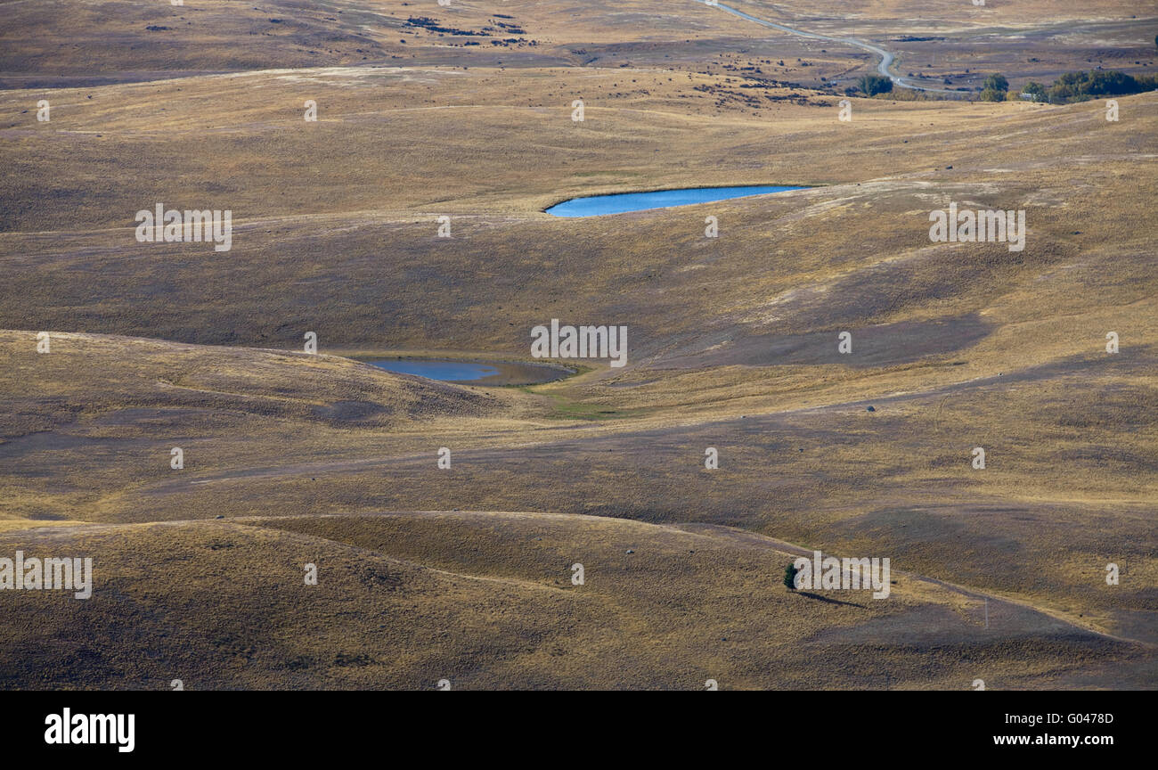Mackenzie country. Newzealand Stock Photo - Alamy