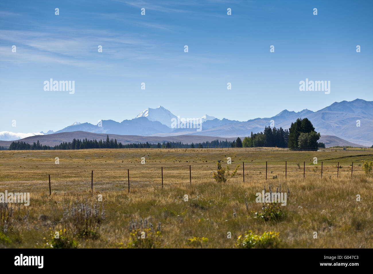 Mackenzie country. Newzealand Stock Photo - Alamy
