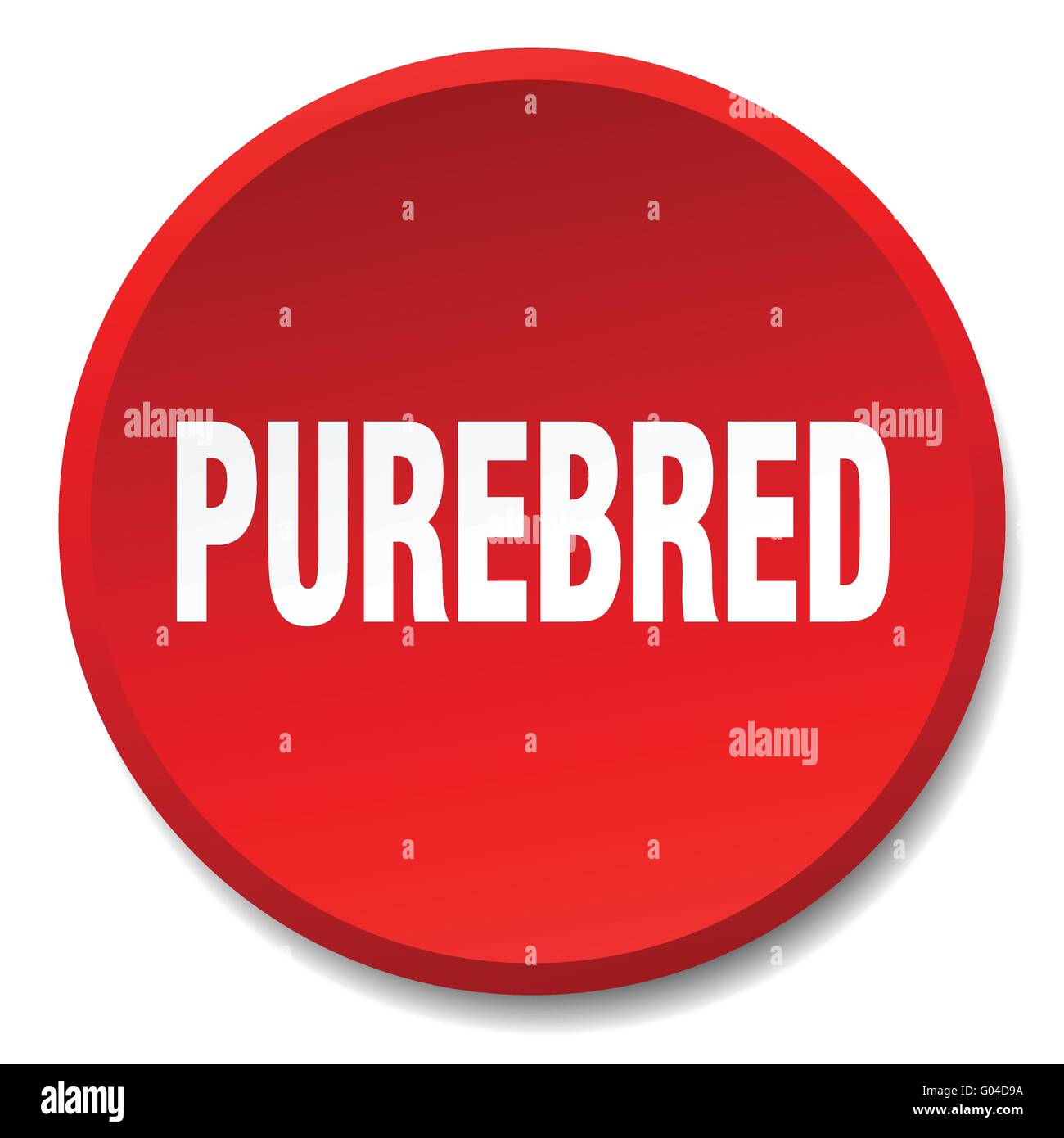 purebred red round flat isolated push button Stock Vector Image & Art ...