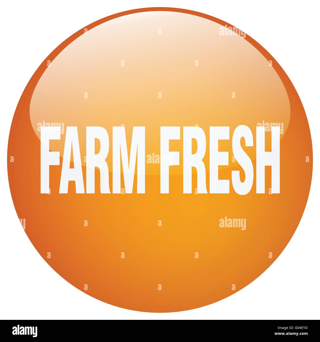farm fresh orange round gel isolated push button Stock Vector Image ...