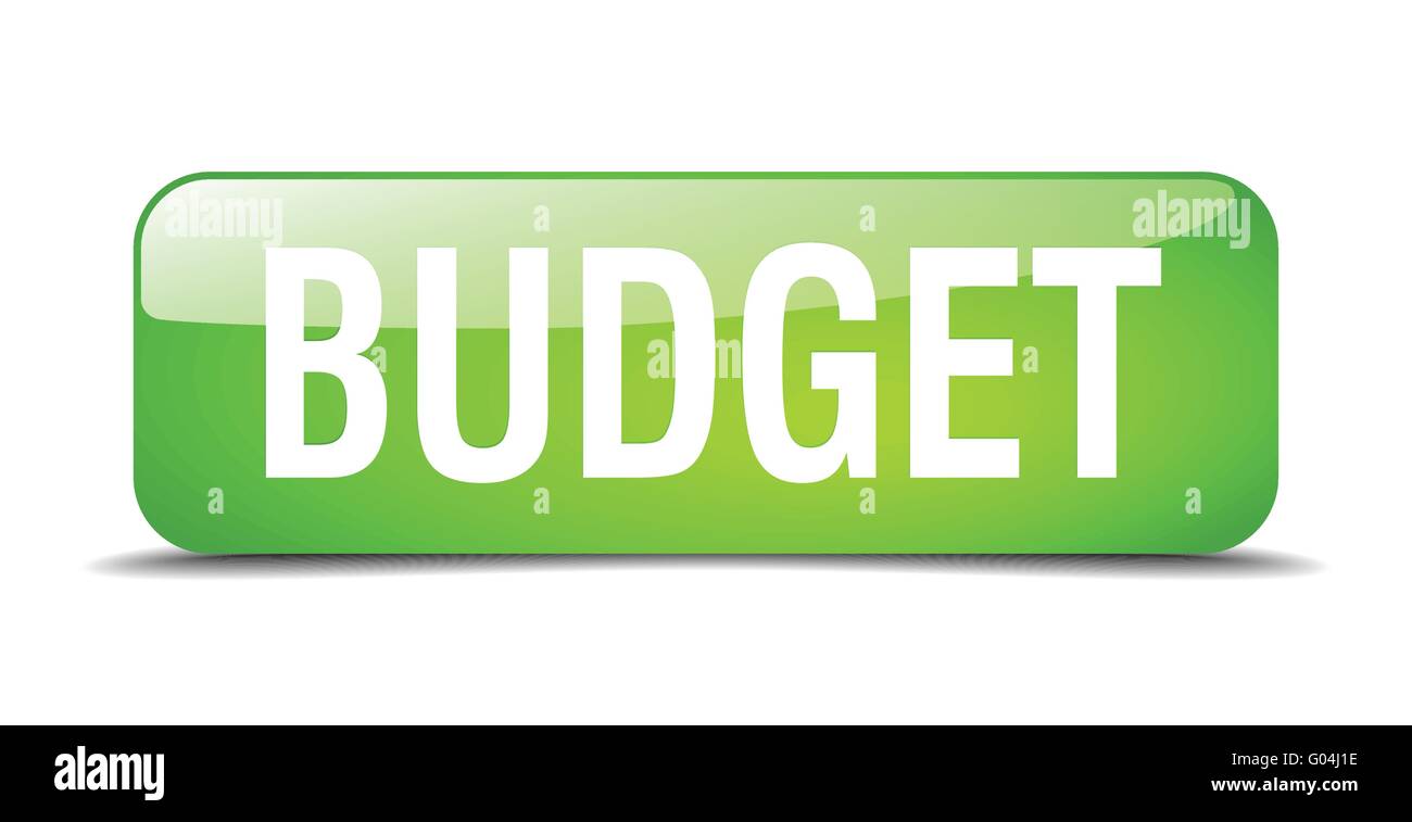 budget green square 3d realistic isolated web button Stock Vector Image ...