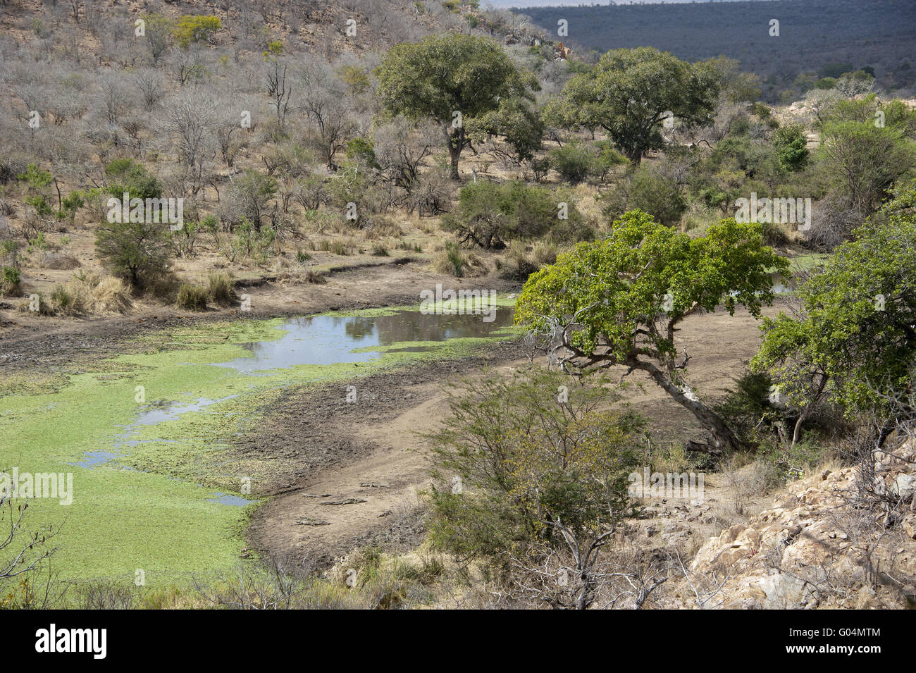 Orpen hi-res stock photography and images - Alamy