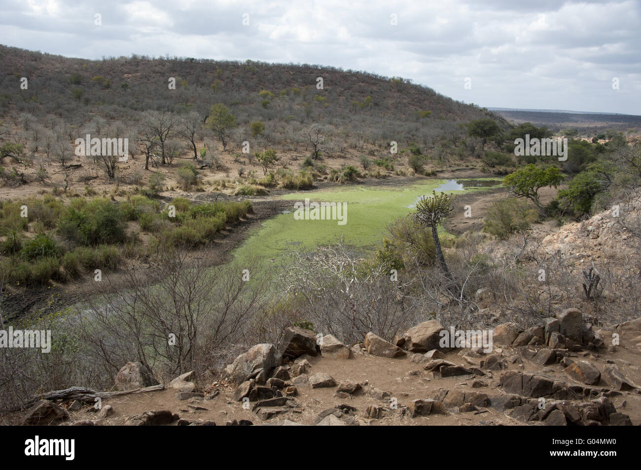 Orpen hi-res stock photography and images - Alamy