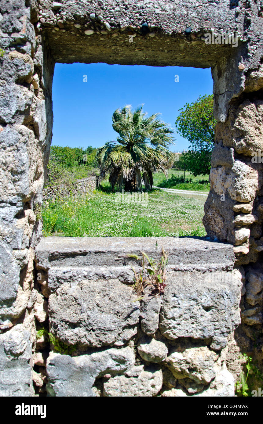 Palm tree through ancient stone wall window on sunny day Stock Photo ...