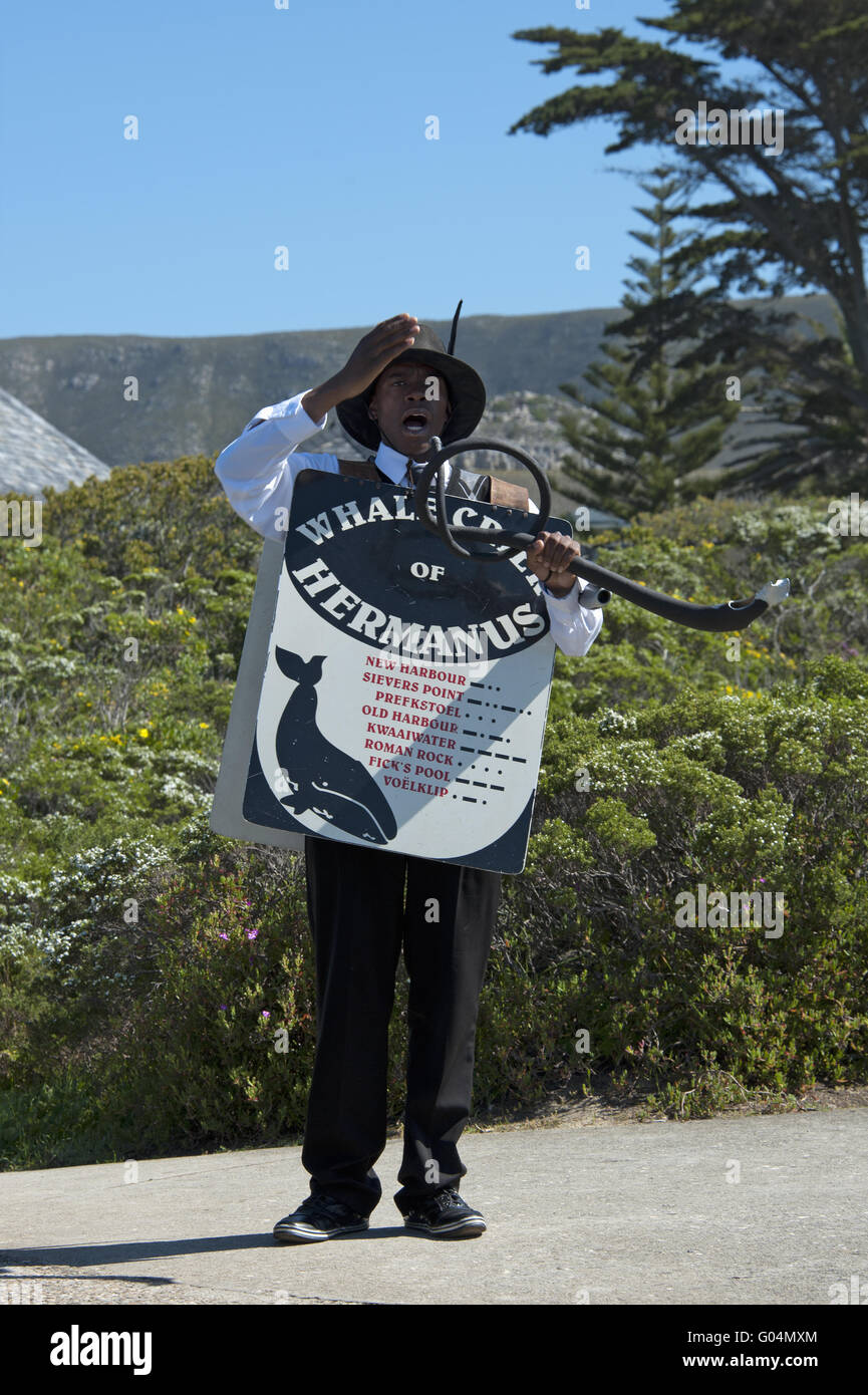 Hermanus whale crier hi-res stock photography and images - Alamy