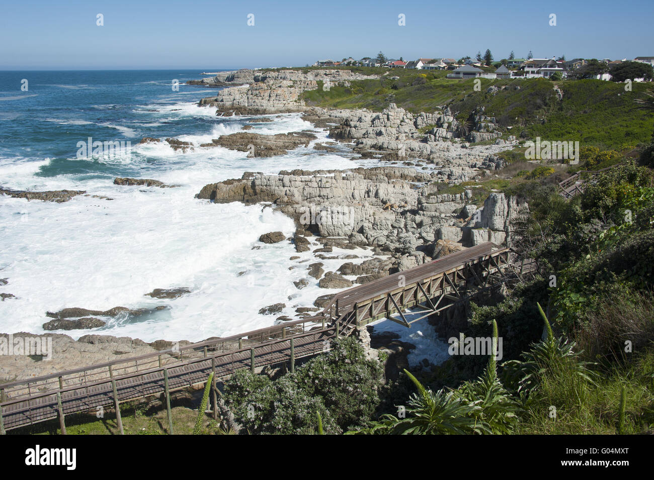 Hermanus hi-res stock photography and images - Alamy