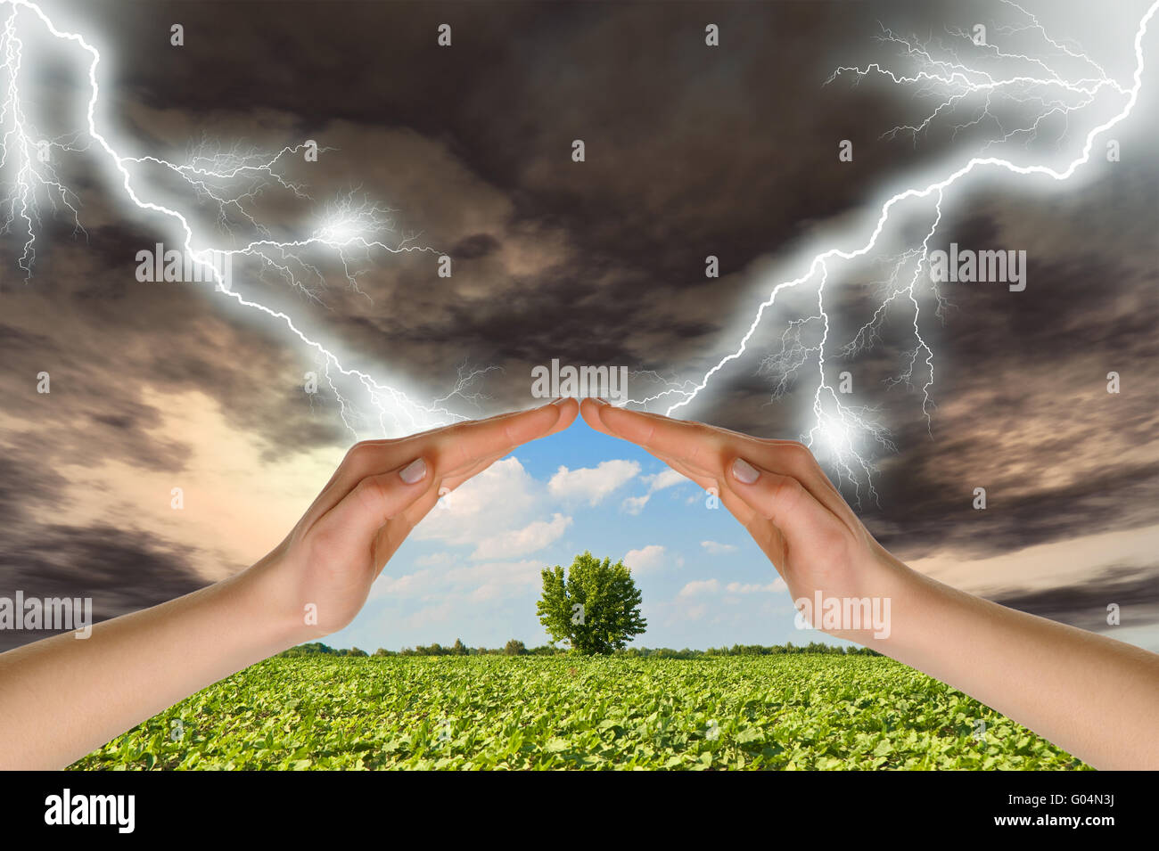 Two hands preserve a green tree against a thunder-storm Stock Photo - Alamy