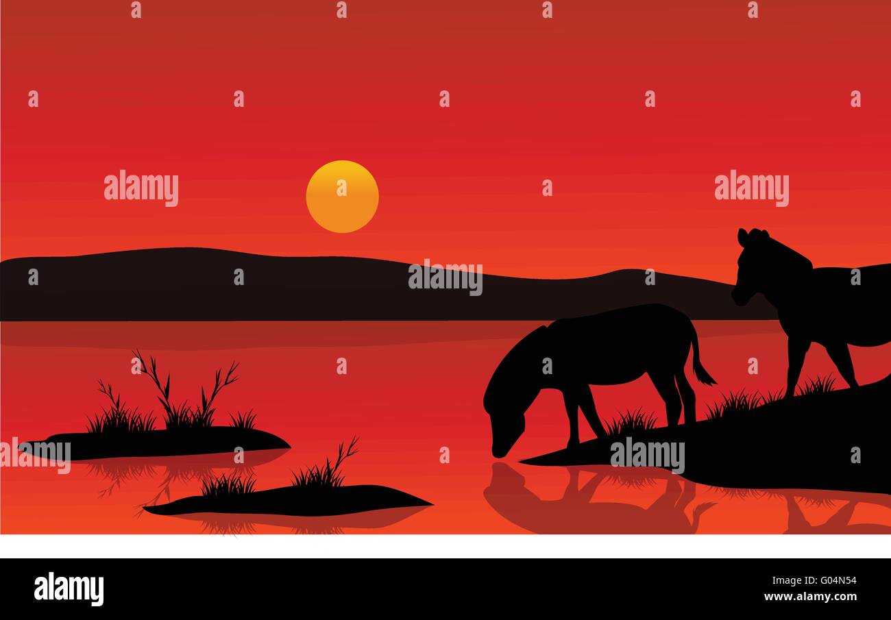 Wild zebra in beautiful Stock Vector Images - Alamy